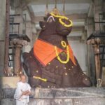 Bangalore: Budget Friendly City Tour pickup/lunch - Is this tour right for you?