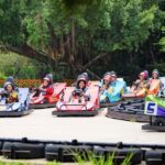 Bangkok Dream World Go-Kart Racing Experience with Buffet - Who Will Love This Tour?