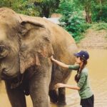 Bangkok: Elephants World & Erawan Waterfall in Kanchanaburi - Authentic Encounters and Honest Feedback
