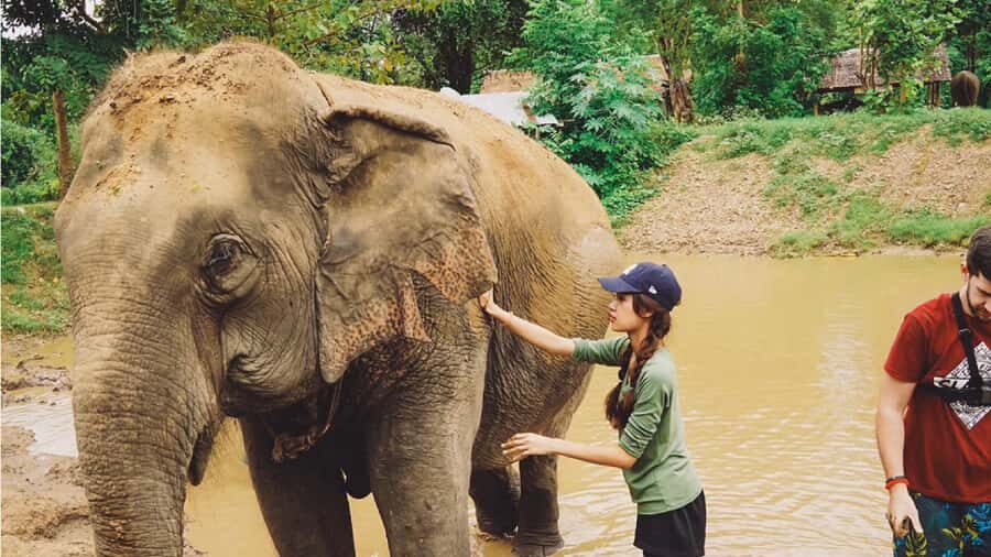Bangkok: Elephants World & Erawan Waterfall in Kanchanaburi - Authentic Encounters and Honest Feedback