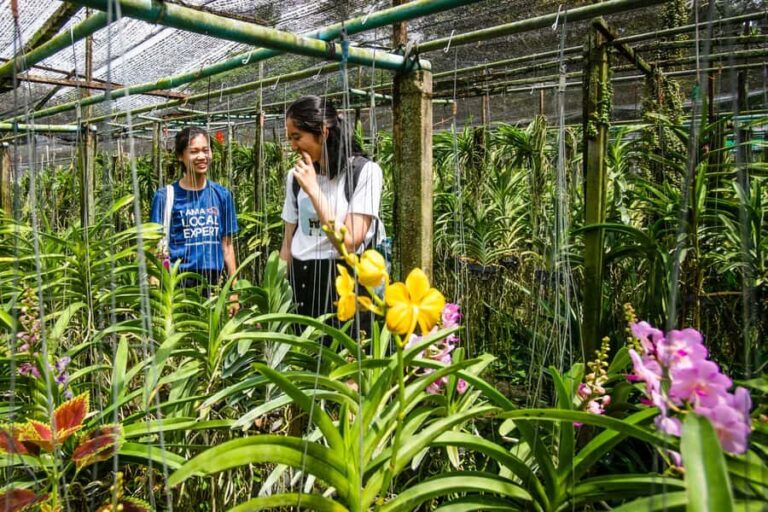 Bangkok Floating Market & Boat Ride to an Orchid Farm - Key Points