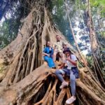 Bangkok: Khao Yai Nature Trails & Heaw Suwat Waterfall - A Deep Dive Into the Khao Yai Experience