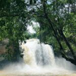 Bangkok: Khao Yai Nature & Wildlife Private Car Charter Tour - What to Expect on Your Day