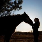 Bangkok: Khaoyai Horseback Riding with Dinner & Transfer - The Itinerary in Detail