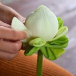 Bangkok: Lotus Fields, Orchid Farm, and Flower Market Tour - Creating Floral Keepsakes: Orchid Jewelry and Workshop