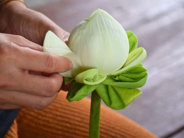 Bangkok: Lotus Fields, Orchid Farm, and Flower Market Tour - Creating Floral Keepsakes: Orchid Jewelry and Workshop