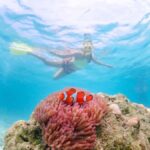 Bangkok: Nemo Island Day Trip with Drone Photos and Lunch - Detailed Breakdown of the Itinerary