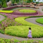 Bangkok: Nong Nooch Garden - Practical Details & Tips