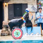 Bangkok: Private Family Tour to Safari & River Dinner Cruise - The Experience in Detail