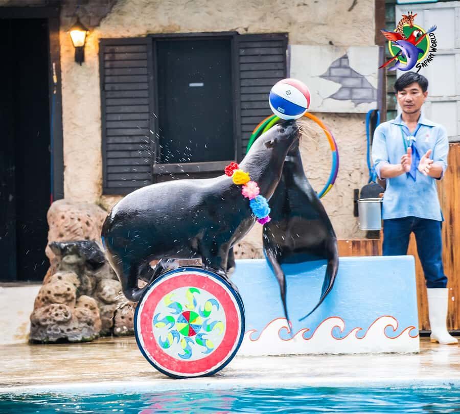 Bangkok: Private Family Tour to Safari & River Dinner Cruise - The Experience in Detail