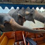 Bangkok: Private Trip to Ayutthaya Temples & Night Market - Scenic Boat Ride & Local Encounters