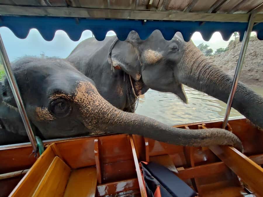 Bangkok: Private Trip to Ayutthaya Temples & Night Market - Scenic Boat Ride & Local Encounters