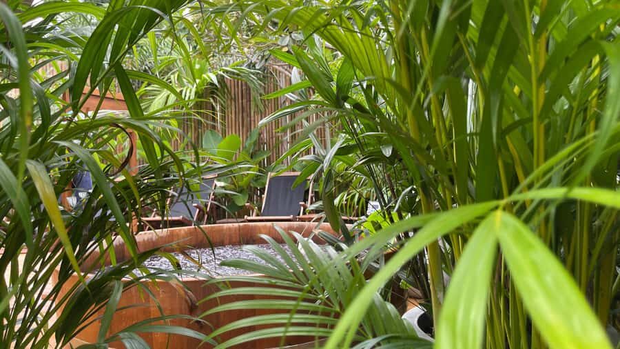 Bangkok: Reset Day  A Calm, Fully Taken-Care-Of Day - How the Day Unfolds