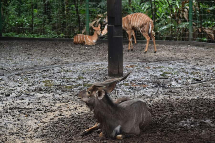 Bangkok Safari & Marine Park - Itinerary Breakdown and Highlights