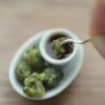 Bangkok: Tiniest Thai Food Hands-On Cooking Experience - What’s Included and What to Expect