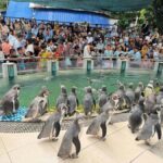 Bangkok to Moo Deng: Private Transfer To Khao Kheow Zoo - Who Will Love This Tour?