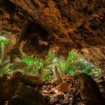 Bangkok: Uthai Thani Day Trip with Floating Temple Visit - Transport & Group Dynamics