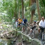 Bangkok's Green Lung Jungle Cycling Adventure Tour - Who Will Love This Tour?