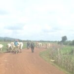 Banteay Chhmar Temple Private Tours - A Day Trip From Siem Reap - Detailed Breakdown of the Itinerary