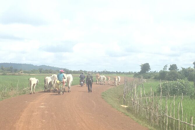 Banteay Chhmar Temple Private Tours - A Day Trip From Siem Reap - Detailed Breakdown of the Itinerary