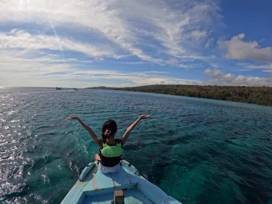 Banyuwangi: 1 Day Tour Snorkeling & Explore Menjangan Island - Who Would Enjoy This Tour?