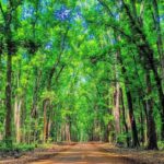 Banyuwangi: 2-Day Adventure with Baluran National Park - Who Would Love This Tour?