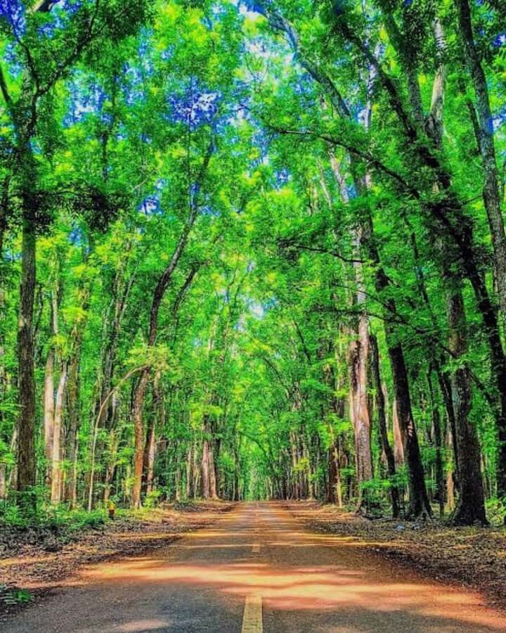 Banyuwangi: 2-Day Adventure with Baluran National Park - Who Would Love This Tour?