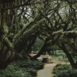 Banyuwangi: 4-Day Photography Tour with Adventure & Culture - An In-Depth Look at the Itinerary