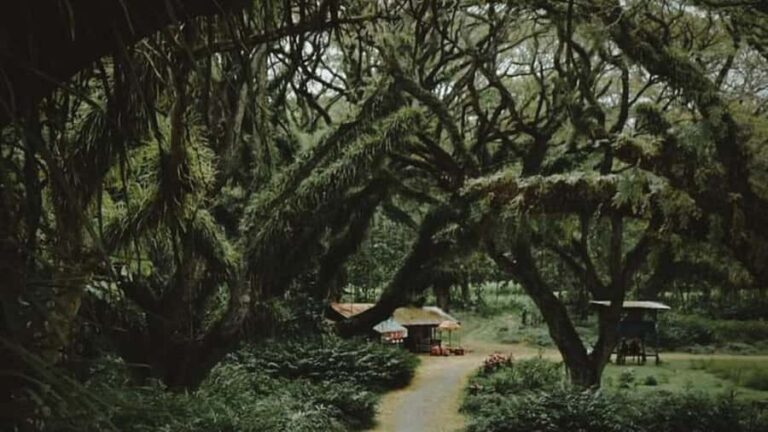 Banyuwangi: 4-Day Photography Tour with Adventure & Culture - An In-Depth Look at the Itinerary