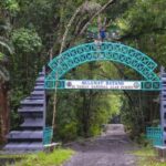Banyuwangi: Alas Purwo National Park & G-Land Beach Tour - The Practical Side: What to Expect