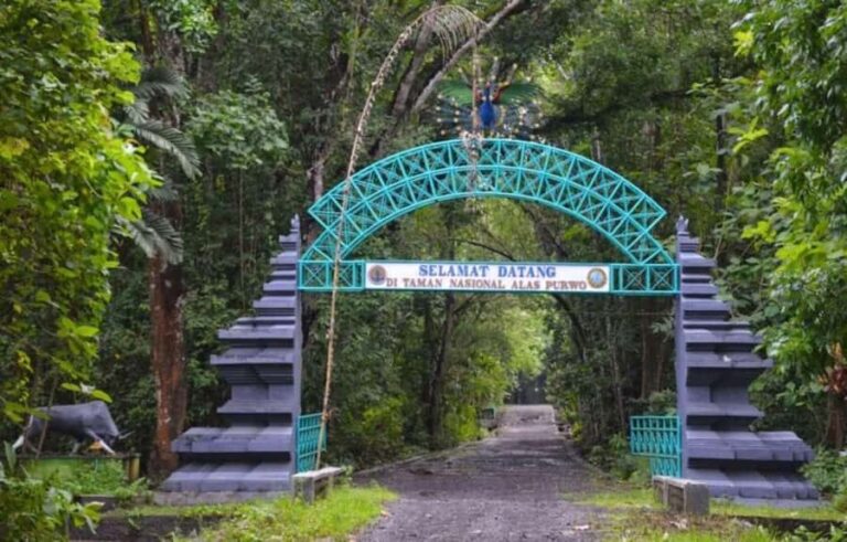 Banyuwangi: Alas Purwo National Park & G-Land Beach Tour - The Practical Side: What to Expect