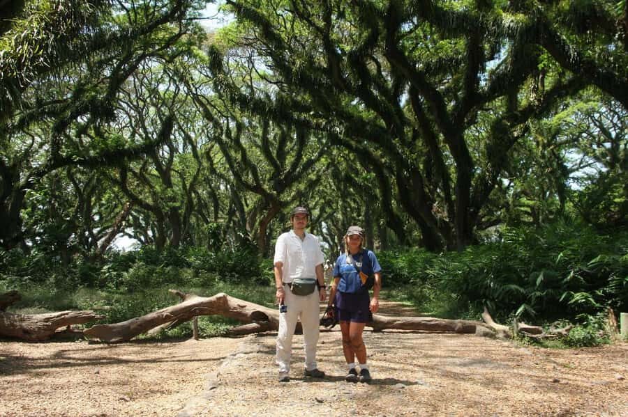 Banyuwangi: Djawatan Forest & Baluran National Park Tour - Practical Details & Considerations