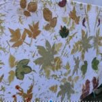 Banyuwangi: Family Eco Print Workshop with Local Artisan - The Itinerary: What to Expect During the Workshop