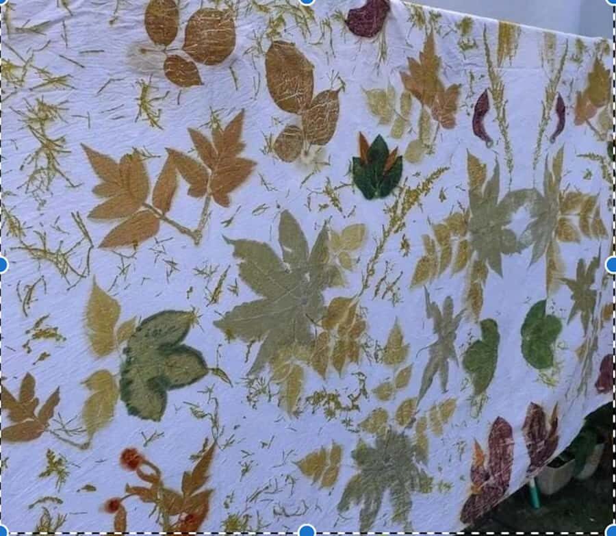 Banyuwangi: Family Eco Print Workshop with Local Artisan - The Itinerary: What to Expect During the Workshop