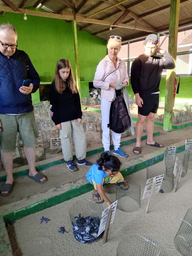 Banyuwangi hidden gem: Sukamade Beach Turtle Release Tour - The Sum Up: Who Should Consider This Tour?