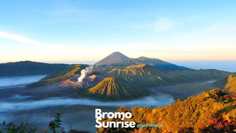 Banyuwangi: Ijen Crater and Bromo Mountain 2 Day Tour - The Practical Side: How This Tour Works for You