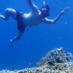 Banyuwangi: Tabuhan & Menjangan Island Snorkeling Tour - The Transfer from Banyuwangi