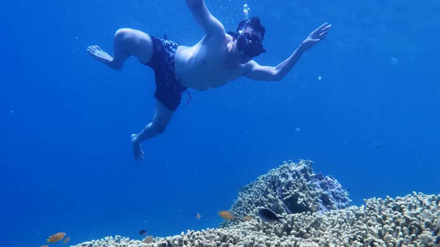 Banyuwangi: Tabuhan & Menjangan Island Snorkeling Tour - The Transfer from Banyuwangi