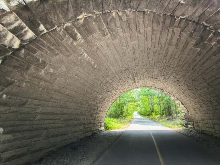Bar Harbor: Acadia National Park and Lighthouse Private Tour - What the Reviews Say: Authentic Insights