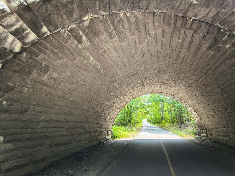 Bar Harbor: Acadia National Park and Lighthouse Private Tour - What the Reviews Say: Authentic Insights