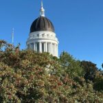 Bar Harbor and Acadia Full Day Private Tour From Bangor - Detailed Breakdown of the Tour