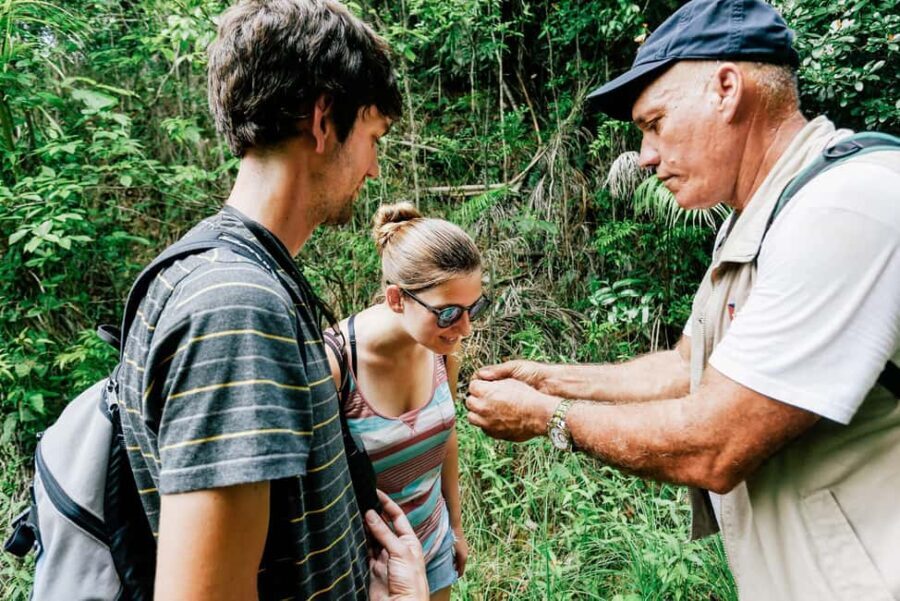 Barahona: La Plaza Waterfall Trek with Lunch & Transfers - Value and Practicality