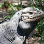 Barahona: Lake Enriquillo Discovery Tour - Who Will Love This Tour?