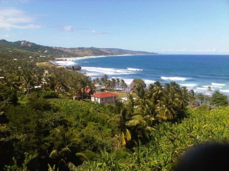 Barbados: 4 Hour Private Customized Island Tour - What to Expect During the Tour