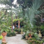 Barbados Amazing Full Day Private Rural Excursion - Value and Overall Impressions