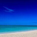 Barbados: Bath to Bathsheba Trail Run or Hike with Pickup - Why This Tour Offers Good Value