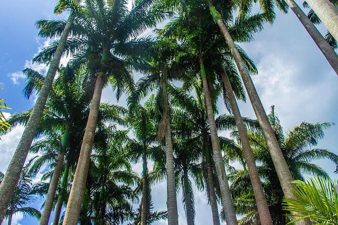 Barbados Botanical Tour - Who Will Love This Tour?