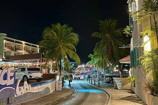 Barbados By Night: Nightlife Stops & Scenic Tour - Final Thoughts