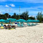 Barbados: Carlisle Bay Beach Day and Turtle Swim Experience - Who Will Love This Tour?