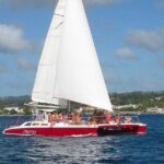 Barbados Catamaran Turtle Snorkel with Lunch and Open Bar - Who Should Consider This Tour?